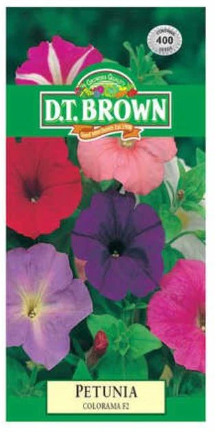 Colorama Petunia | Pestrol
