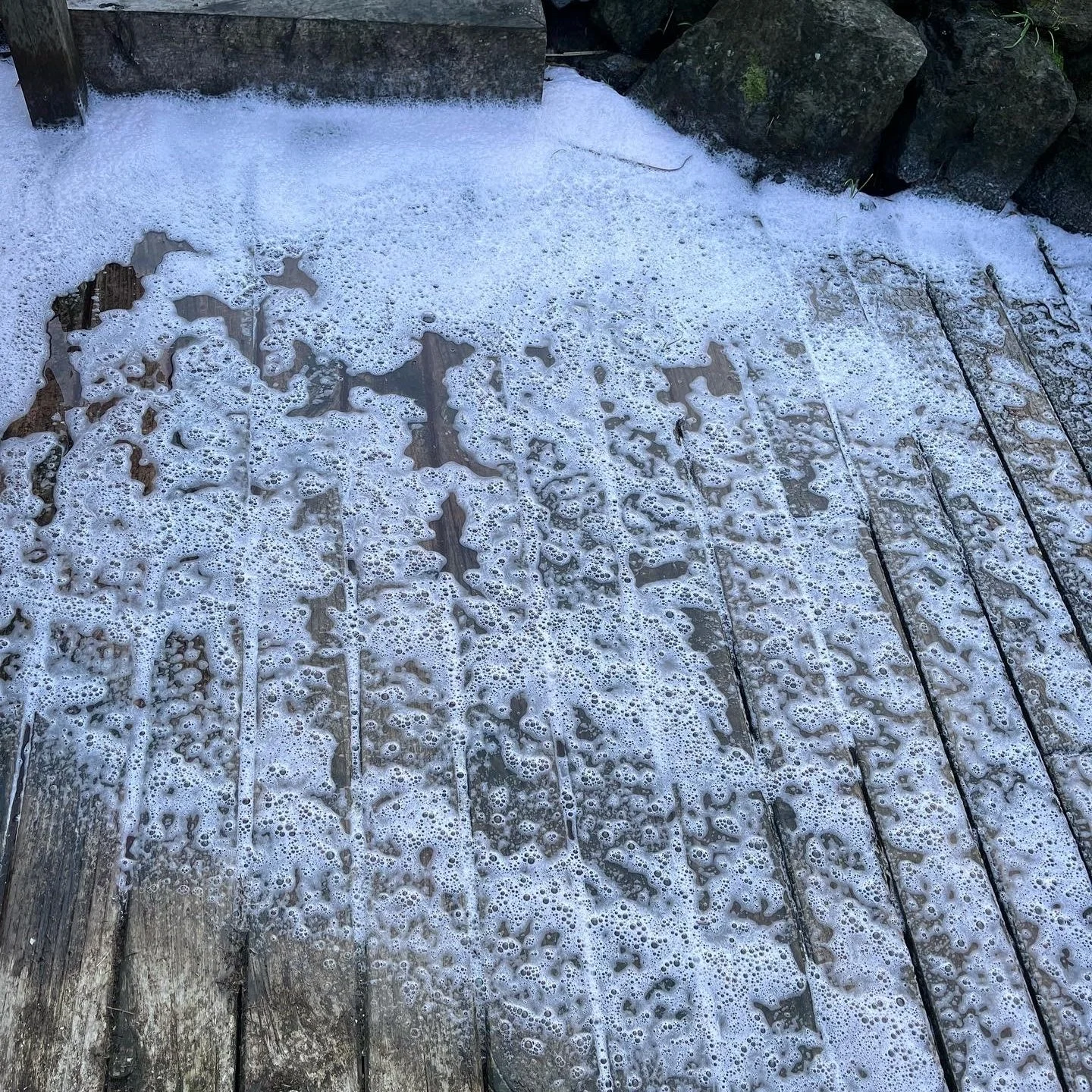 Spray & Go Moss Mould Remover | Turbo 2.5L | Pestrol